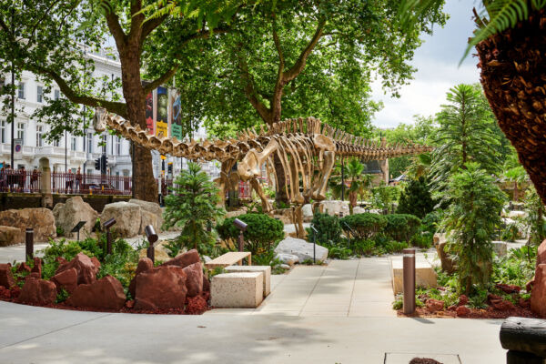 Natural History Museum Evolution Garden - Stone Federation GB